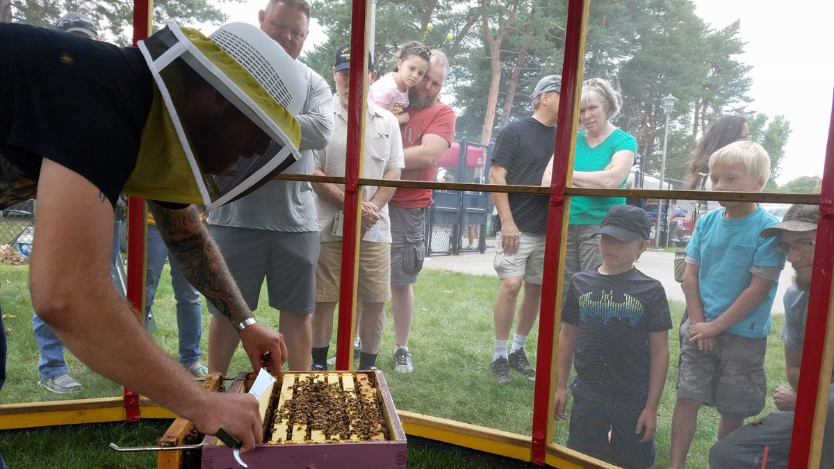 Hive Mind: The Surprising Mental Health Benefits of Beekeeping