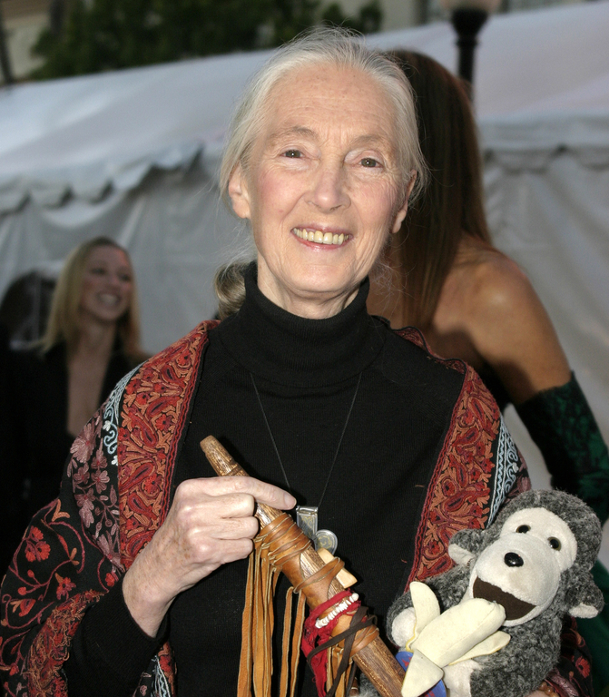 A Sad Farewell to Dr. Jane Goodall – MindSite News